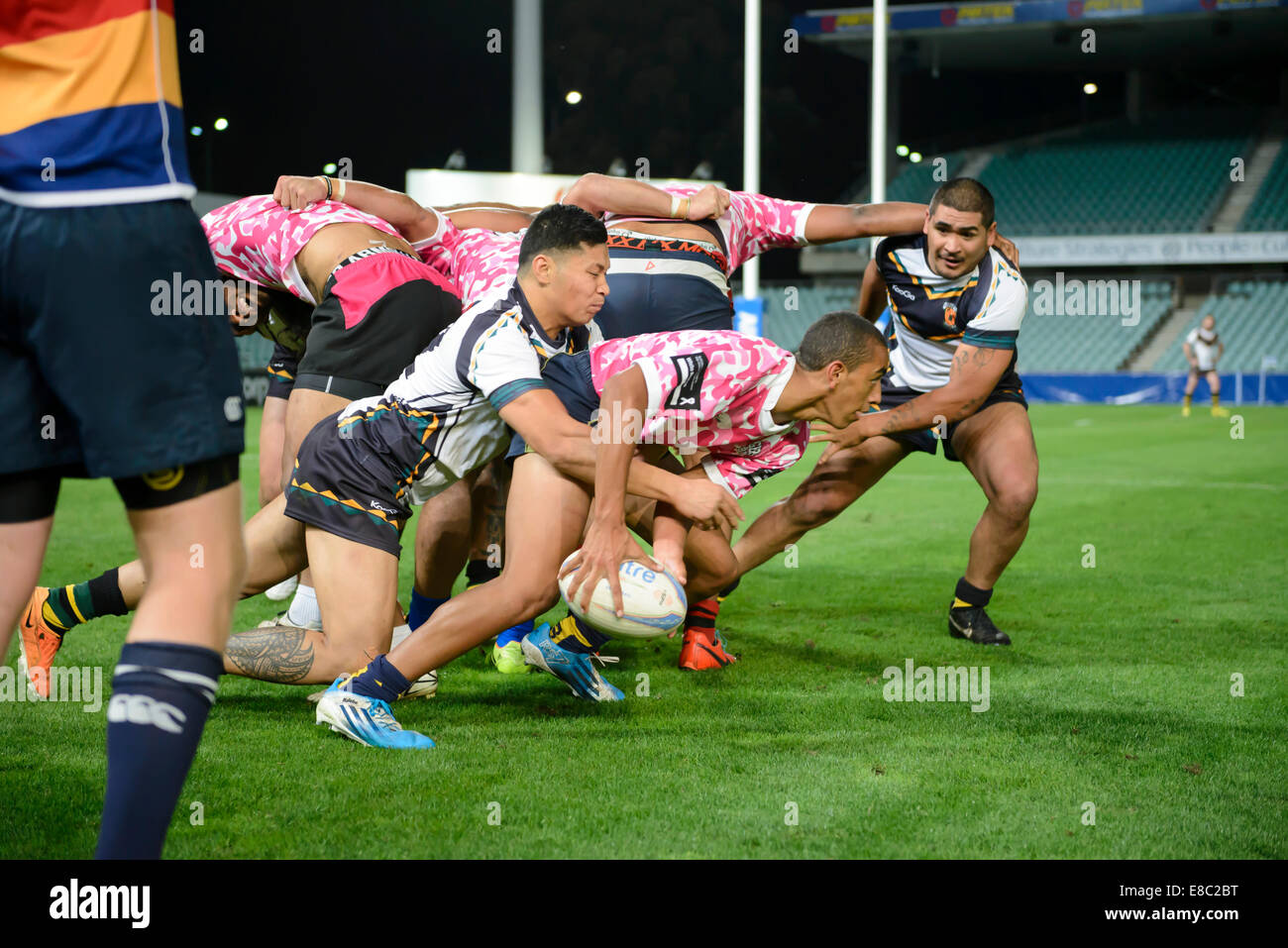 Parramatta stadium hi-res stock photography and images - Alamy