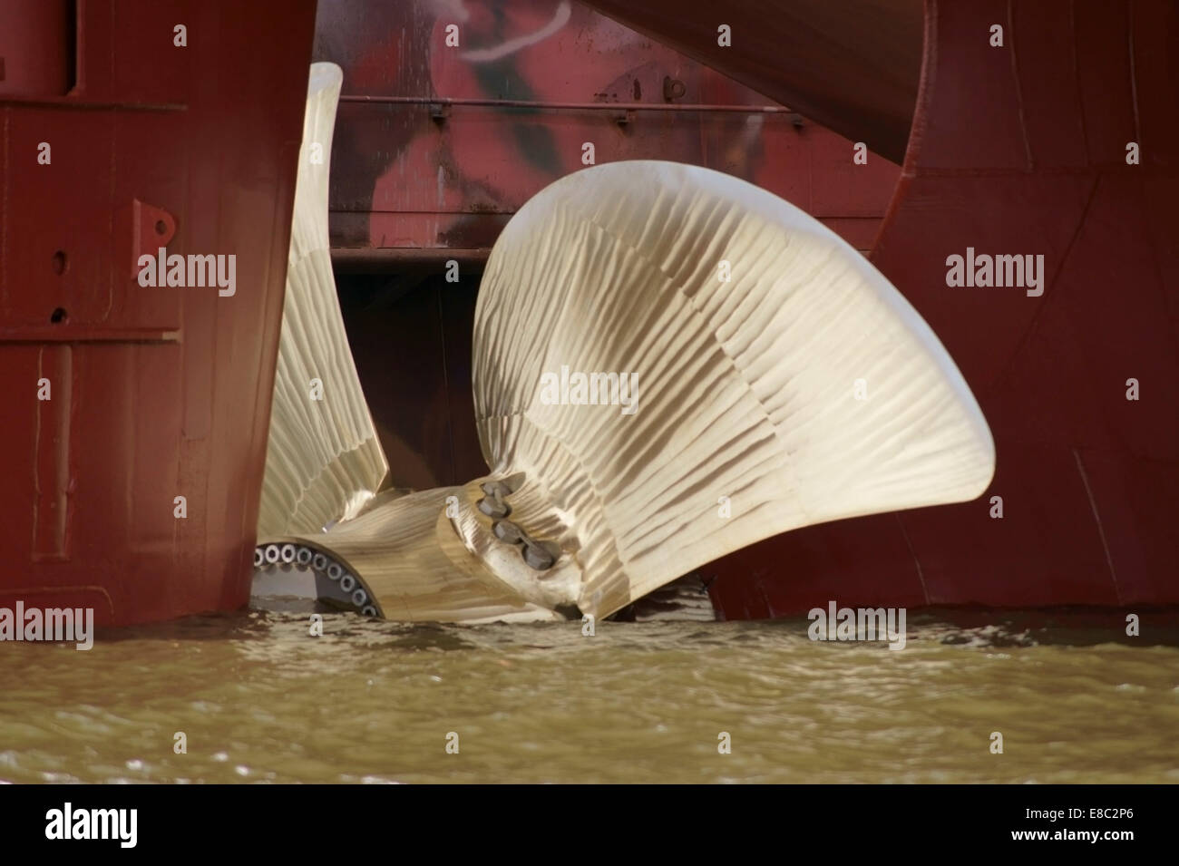 Stern wing hi-res stock photography and images - Alamy