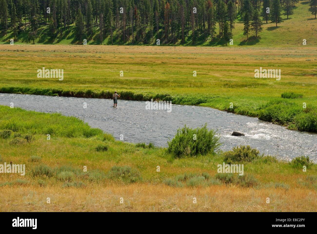 Views along the Gallatin river on the northwest side on Yellowstone ...