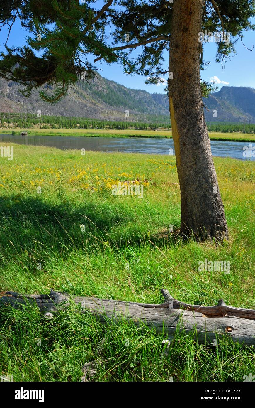 Views along the Gallatin river on the northwest side on Yellowstone ...