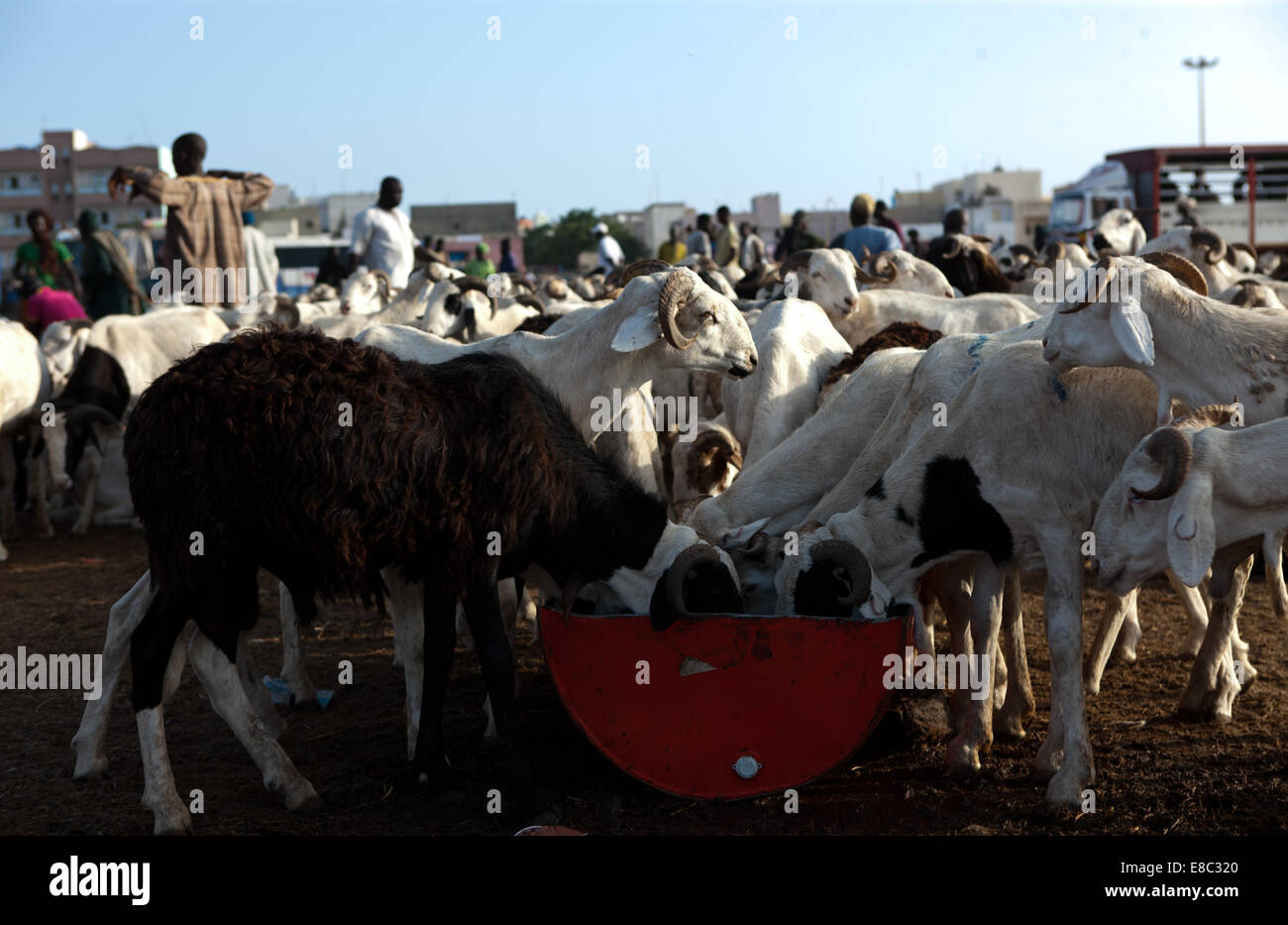 Dakar. 4th Oct, 2014. Photo taken on Oct. 4, 2014 shows the temporary ...