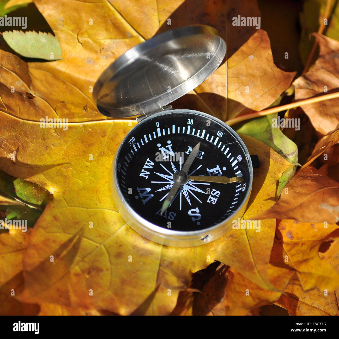 Magnet compass hi-res stock photography and images - Alamy