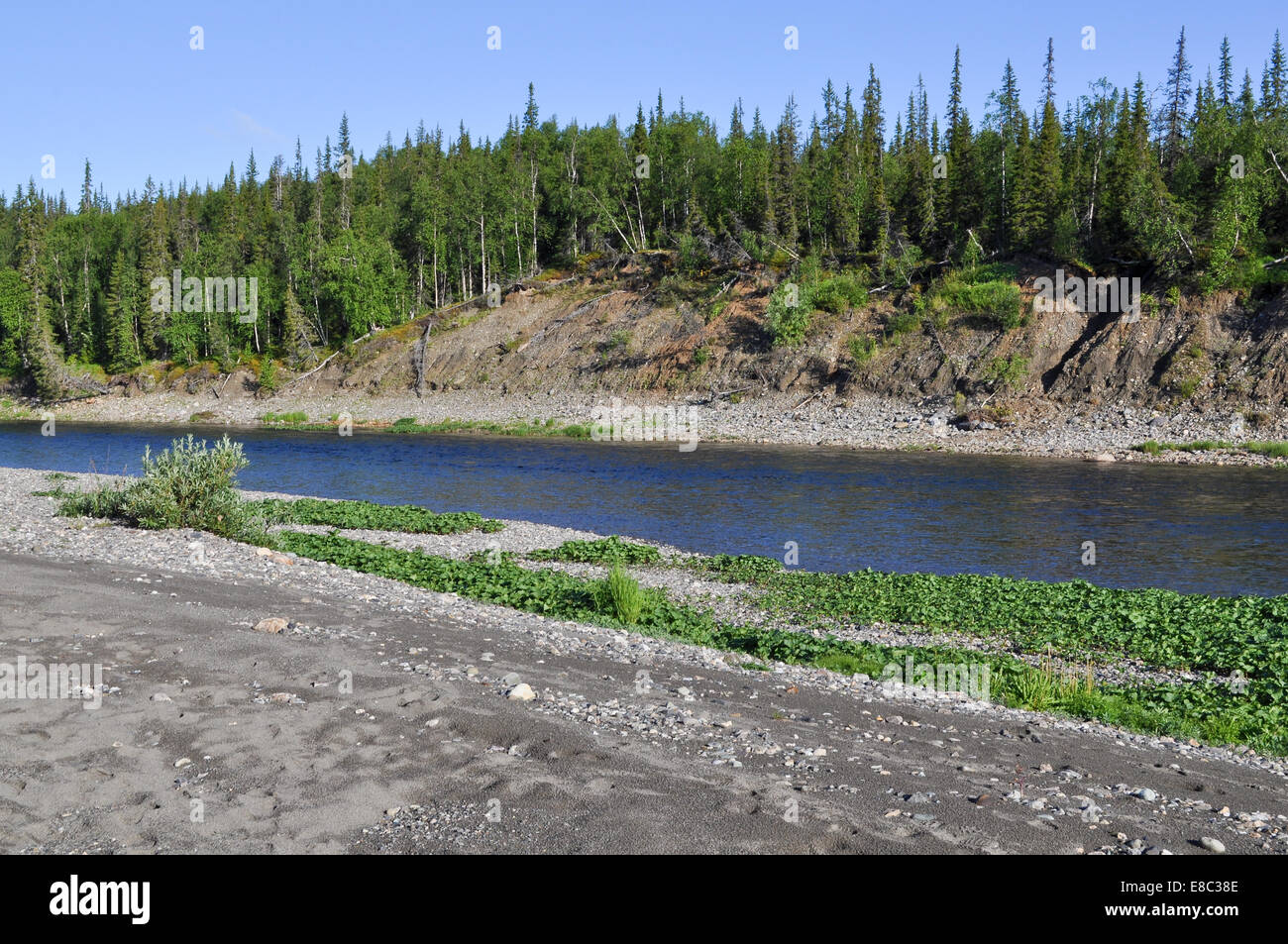 The Ural river. River Northern landscape, clean water and environmental ...