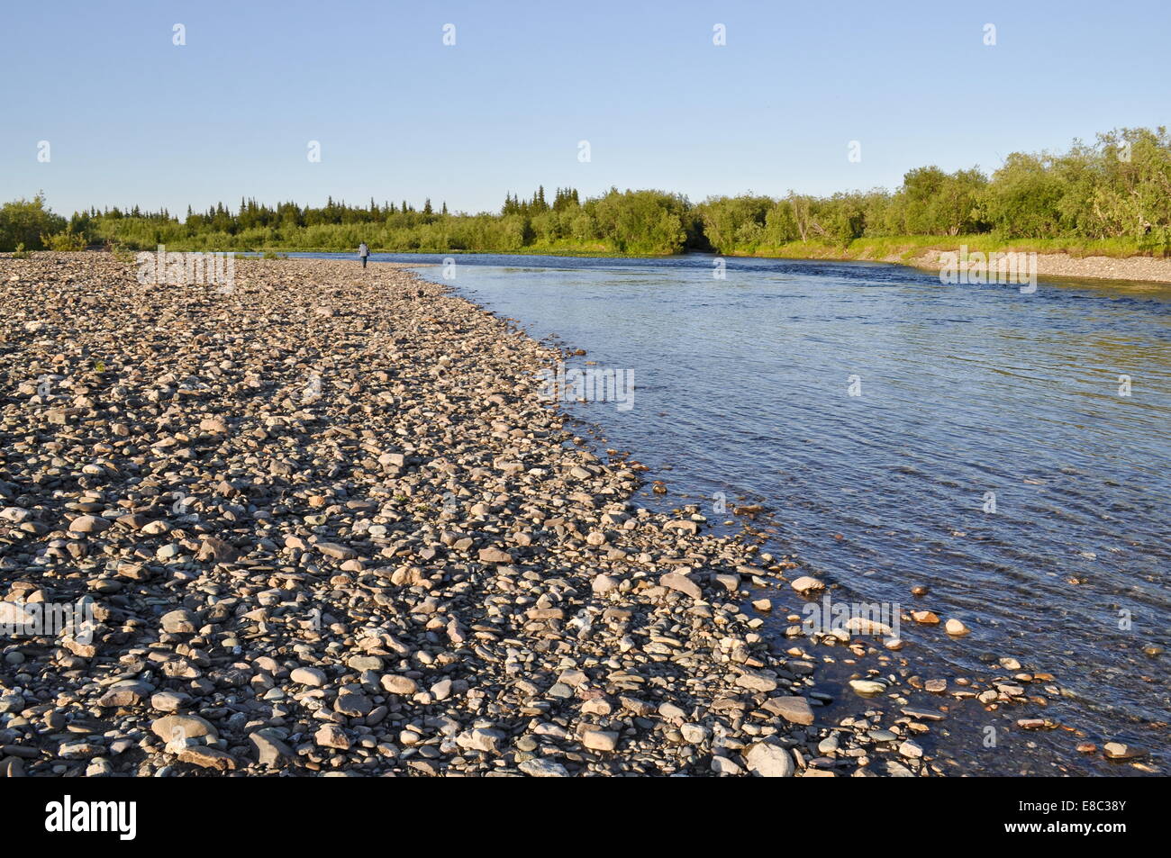 The Ural river. River Northern landscape, clean water and environmental ...