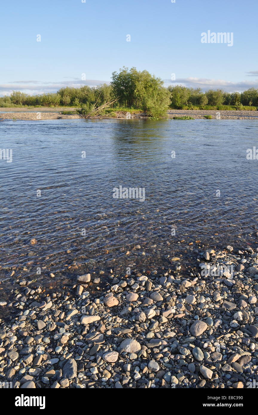 The Ural river. River Northern landscape, clean water and environmental ...