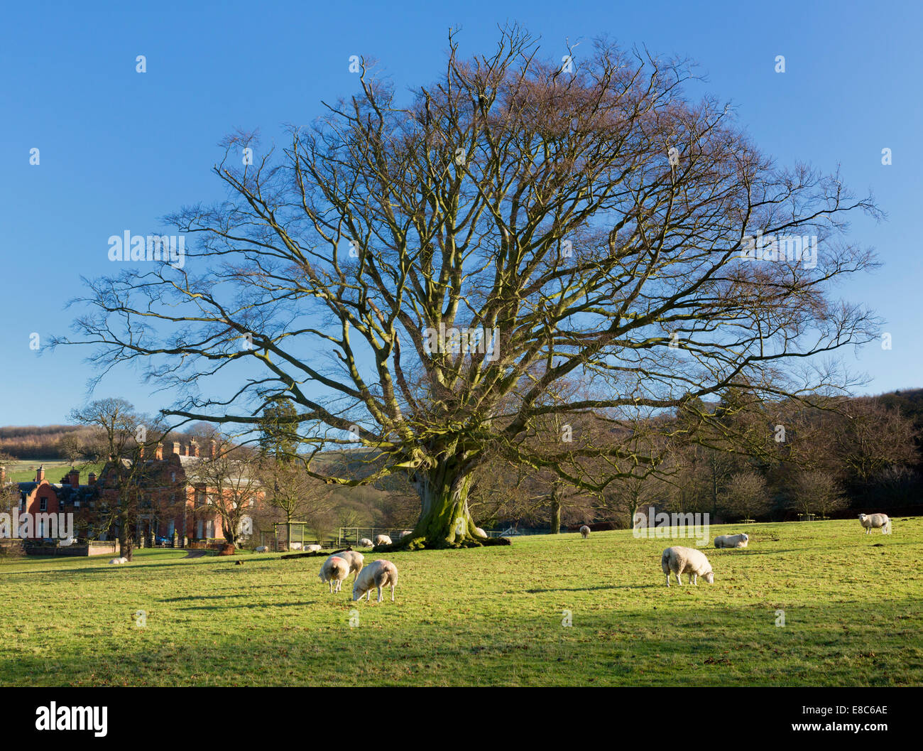 Ganton village near Scarborough in North Yorkshire Stock Photo - Alamy