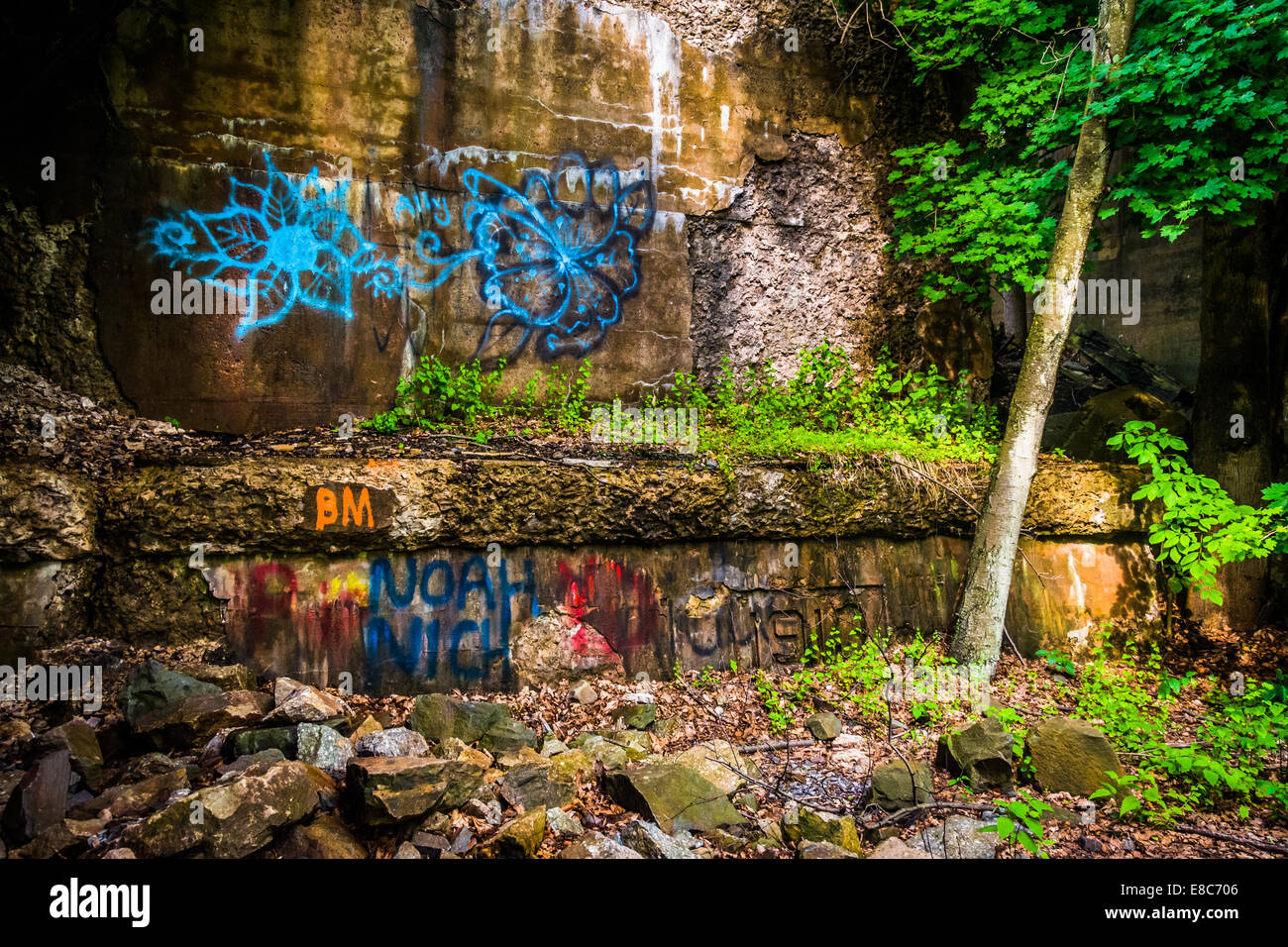 Graffiti under a railroad bridge in Lehigh Gorge State Park ...
