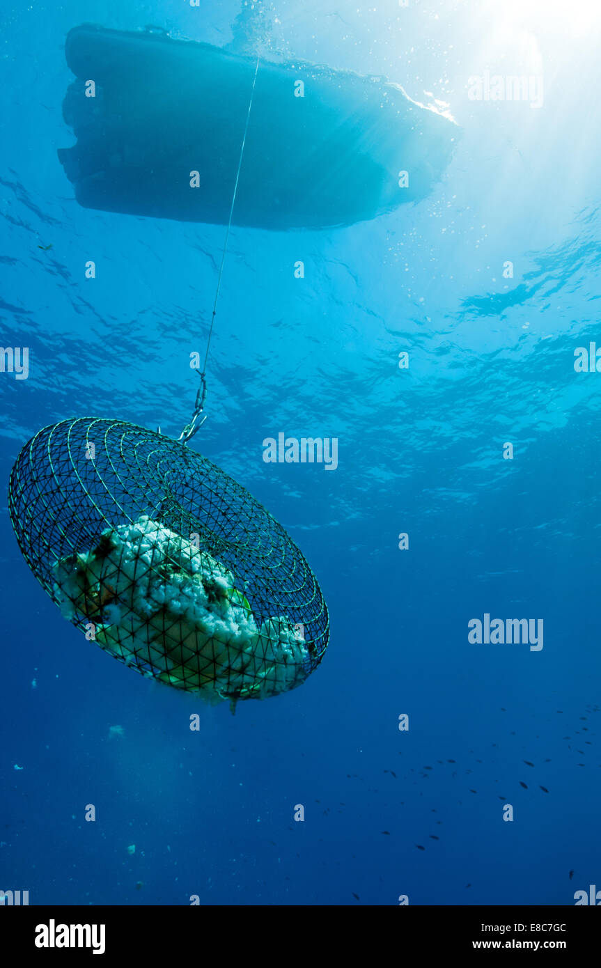 Marine trap hi-res stock photography and images - Alamy