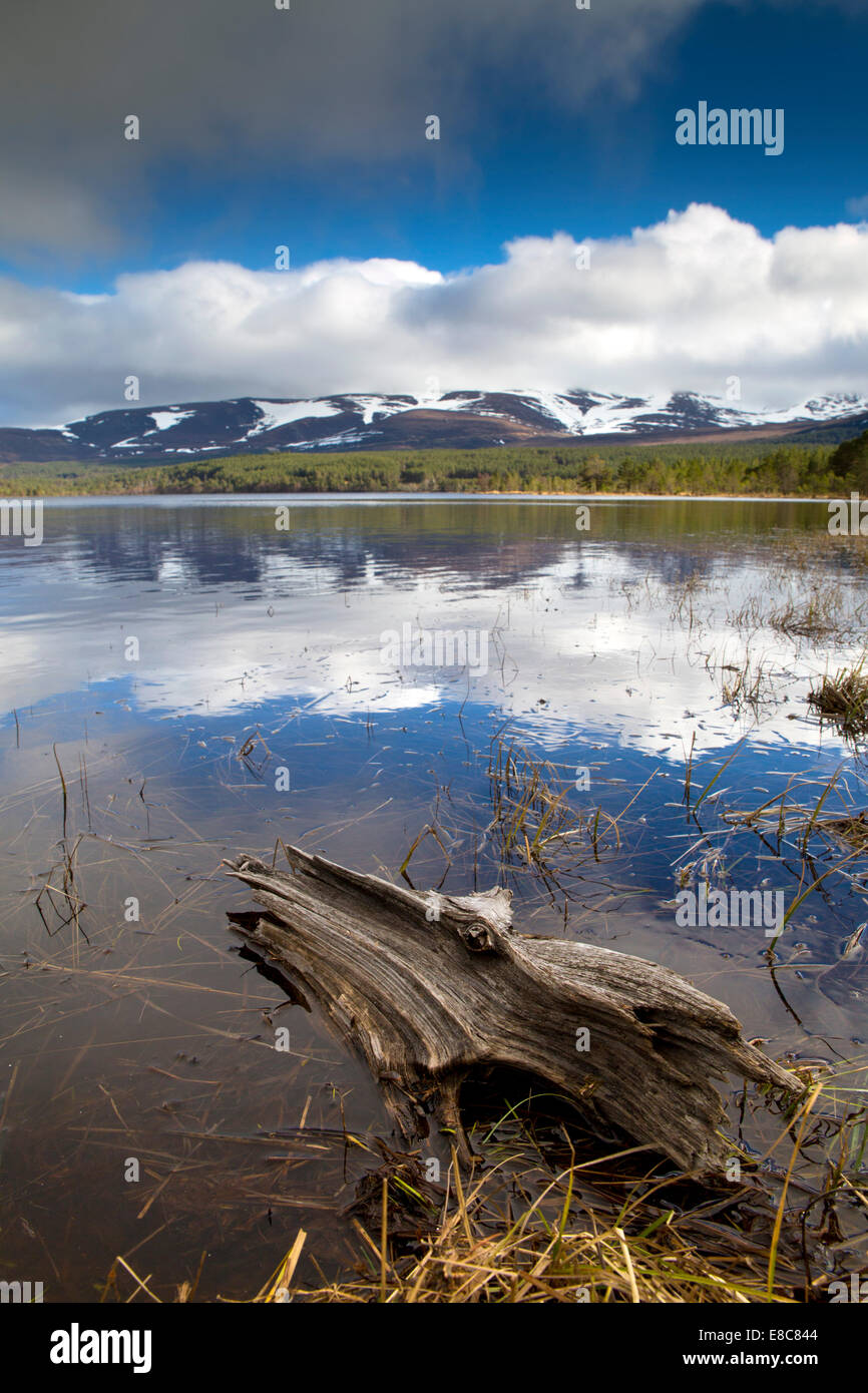 Winter scene loch morlich hi-res stock photography and images - Alamy