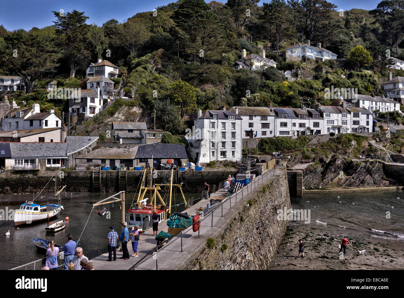 Polperro Cornwall. Harbour sea wall and hillside quaint cottages at the ...