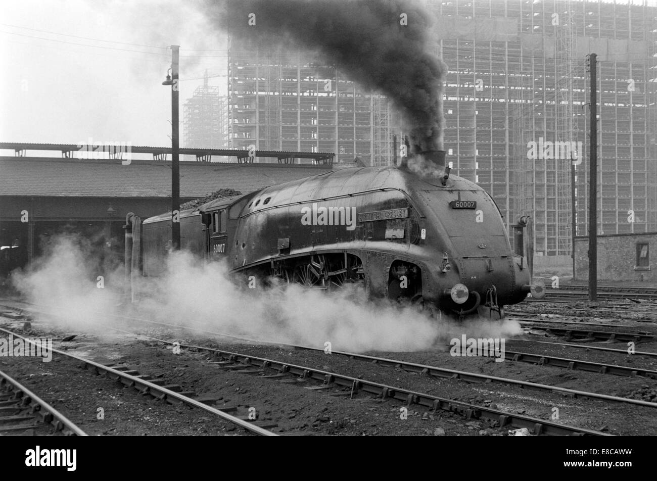 original british railways steam locomotive class a4 number 60007 sir ...