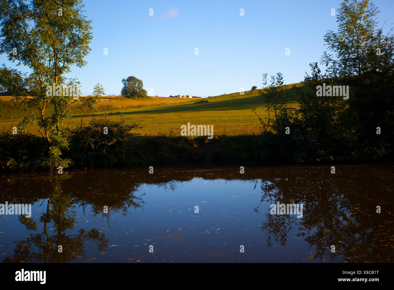 Canal Bankside and field Stock Photo - Alamy