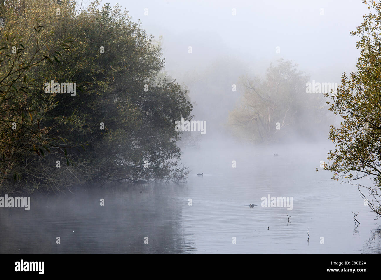 lake in the mist Stock Photo - Alamy