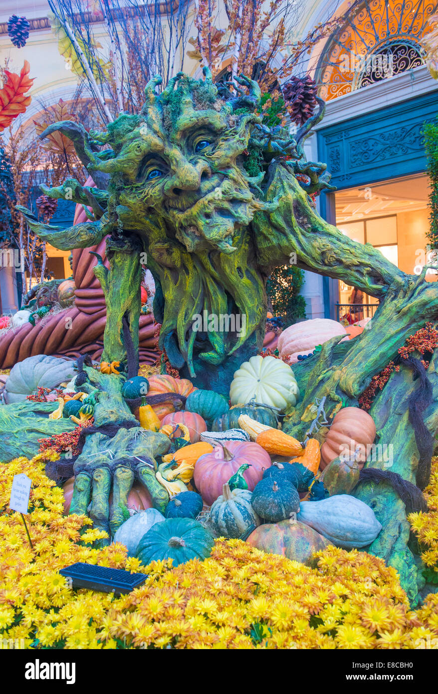 Fall season at the Bellagio Hotel Conservatory & Botanical Gardens in ...