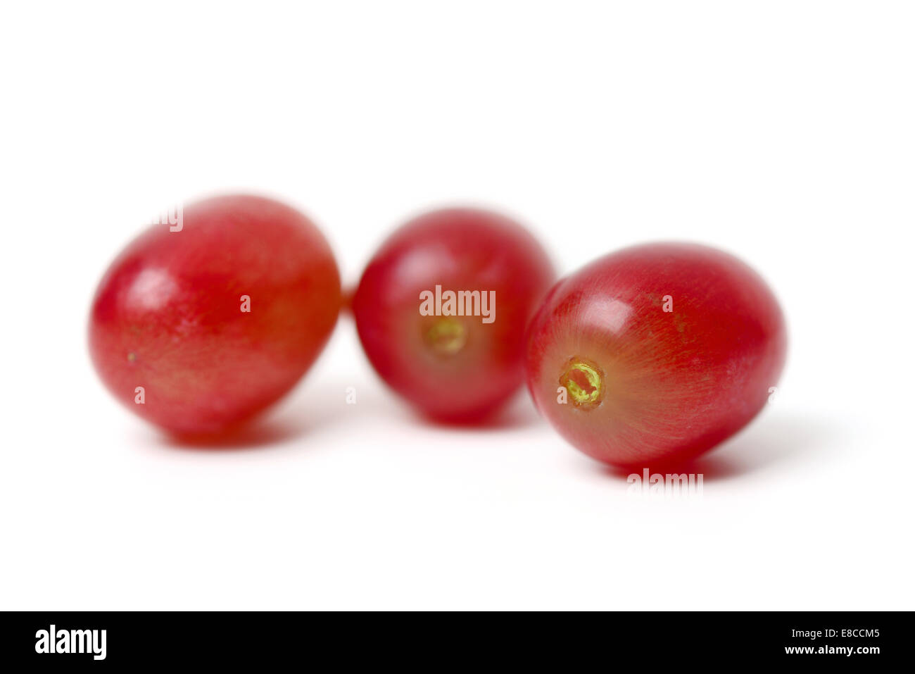 Grapes white background red hi-res stock photography and images - Alamy