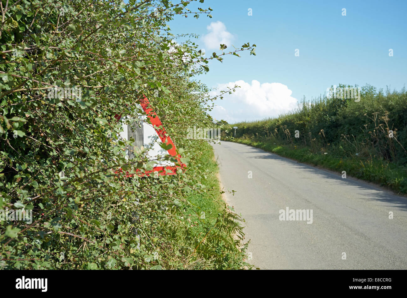 Partly hidden road sign on rural road Stock Photo - Alamy