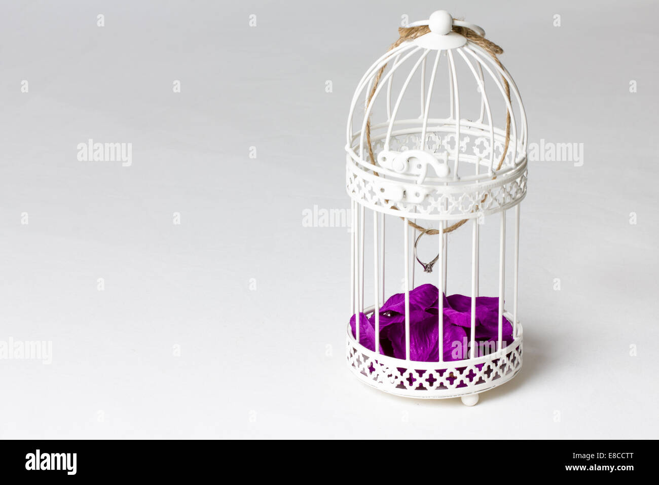 Single solitaire engagement ring hanging inside a white metal bird cage ...