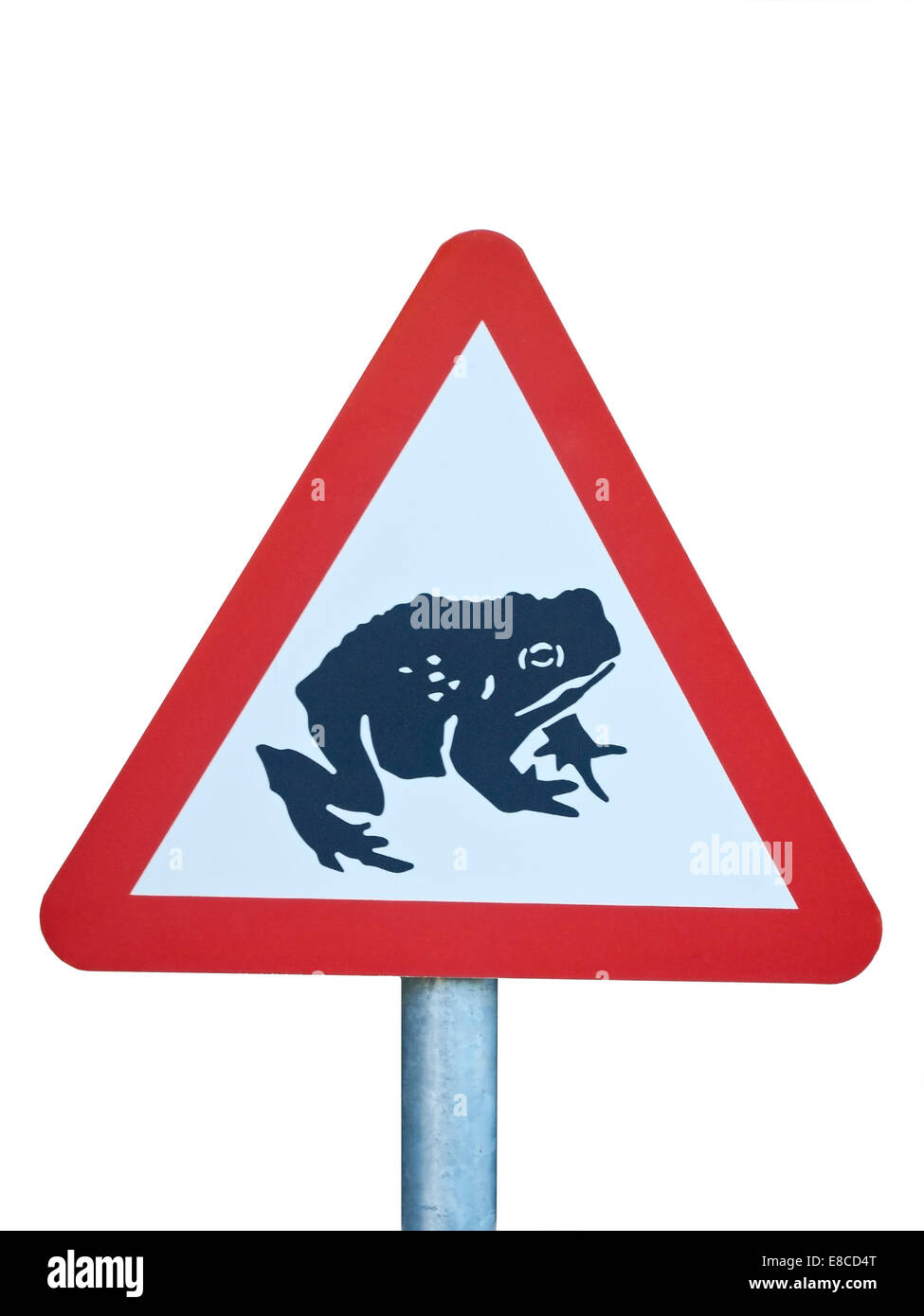 Cut out and isolated on white background, frog or toad warning traffic ...