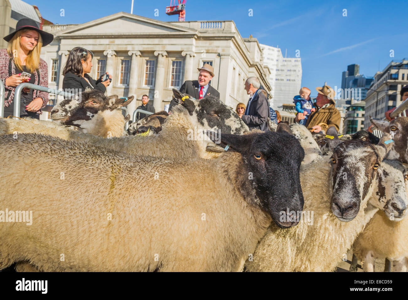 London, UK. 5th Oct, 2014. Freemen of the City of London exercise their ...