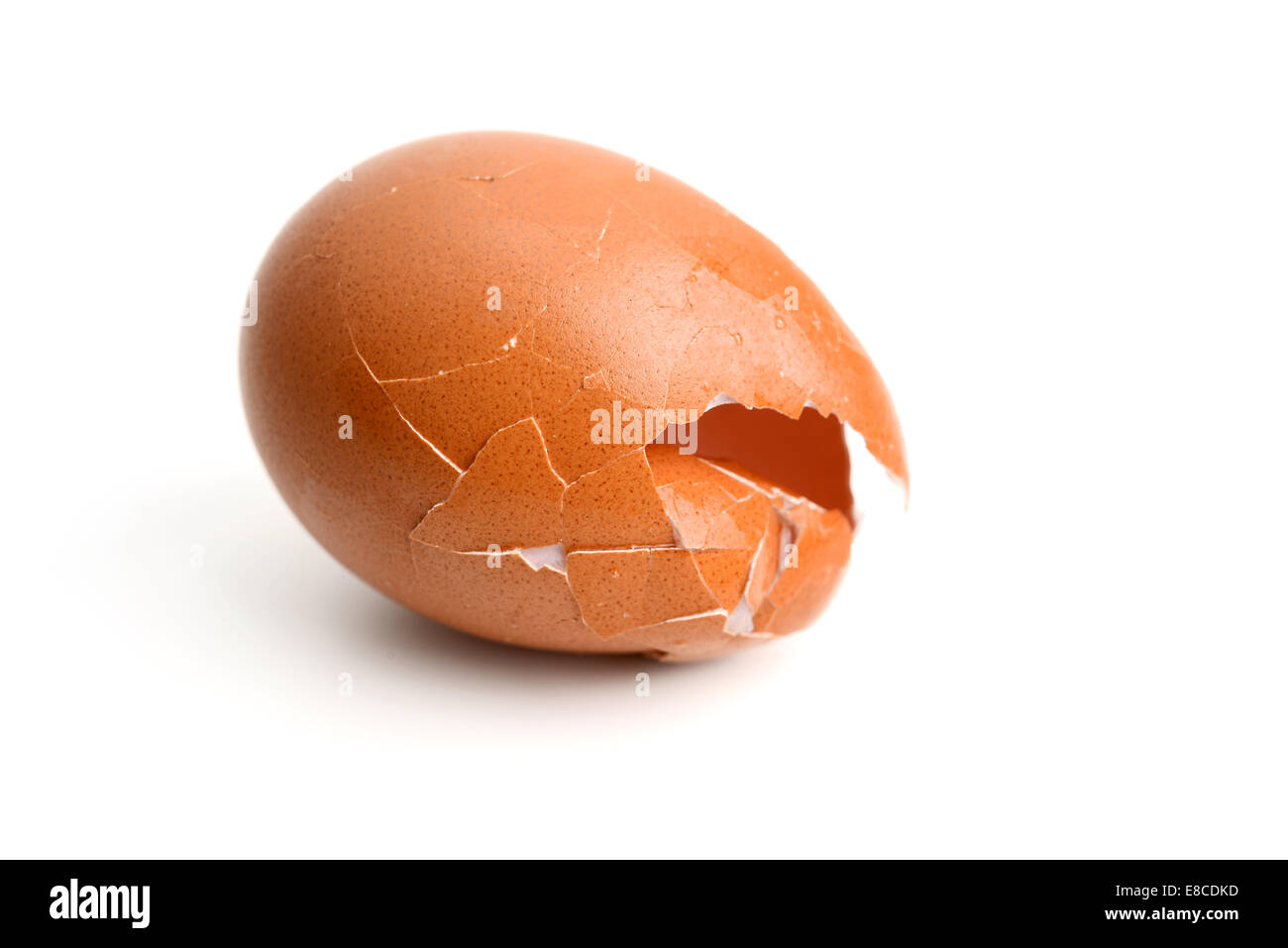 shell eggs isolated on white Stock Photo - Alamy