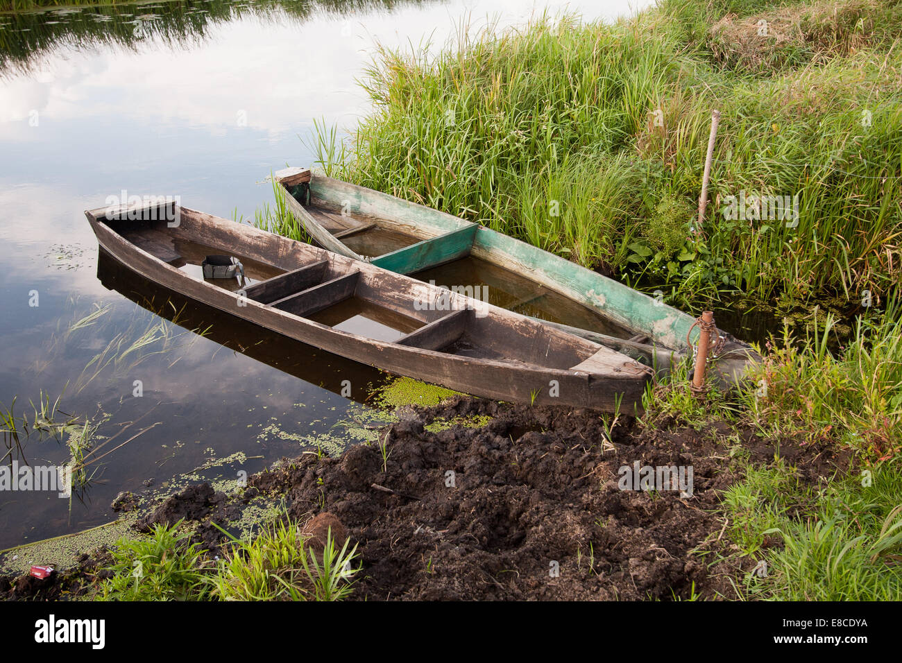 Fish transportation hi-res stock photography and images - Alamy