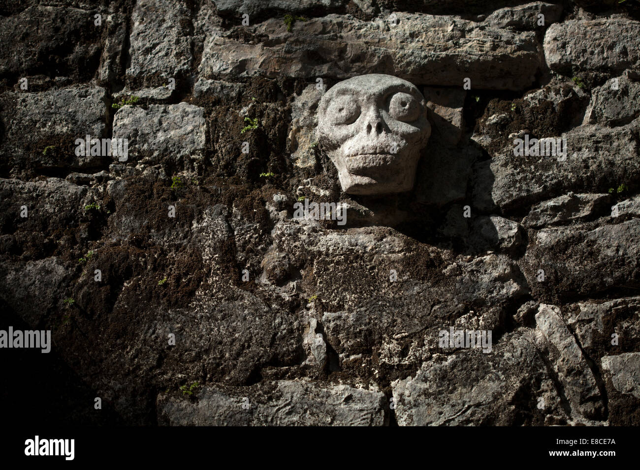 Mayan skull hi-res stock photography and images - Alamy