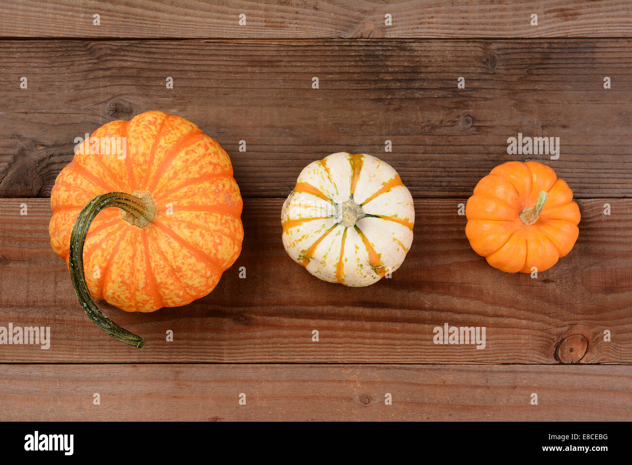 High angle shot of three different decorative pumpkins. Horizontal ...