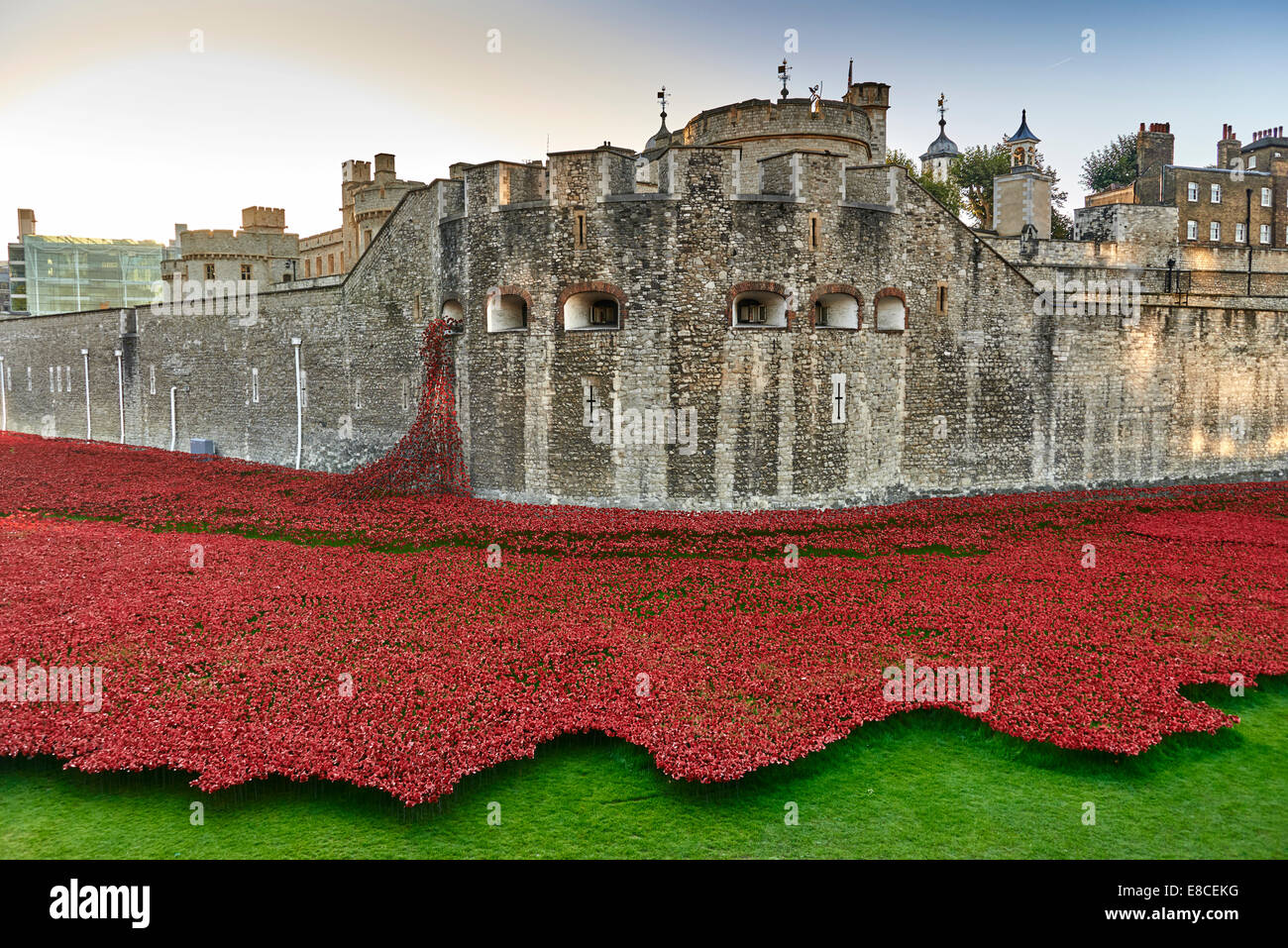 Tower of London Poppies in the Moat HRP-Tower London -WW1-LogoFrom 5 ...