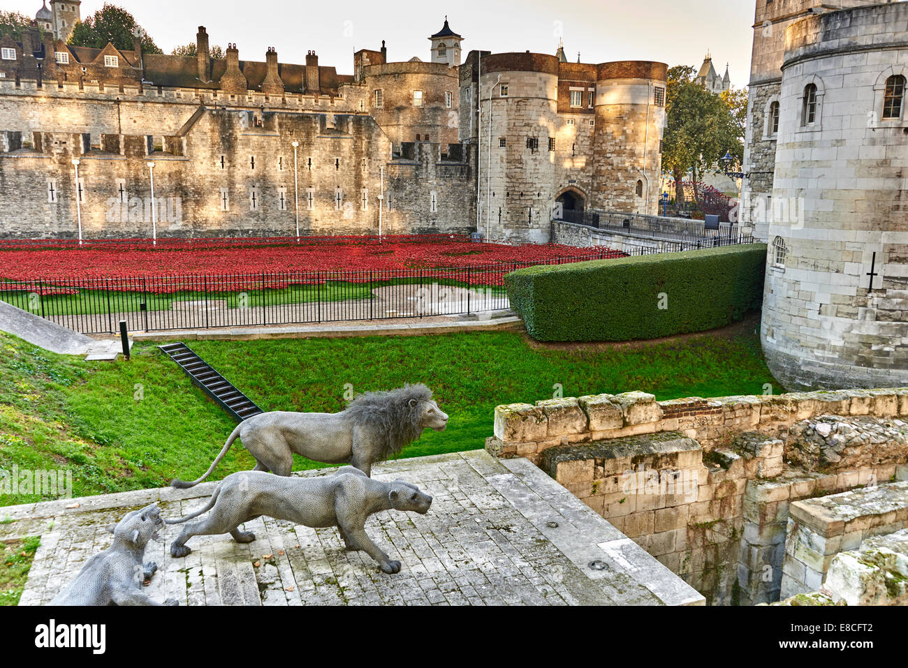 Tower of London Poppies in the Moat HRP-Tower London -WW1-LogoFrom 5 ...