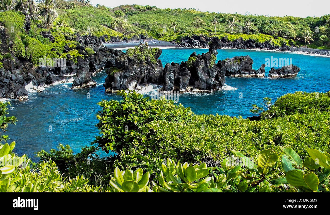 This photograph captures the serene beauty of a Hawaiian getaway ...