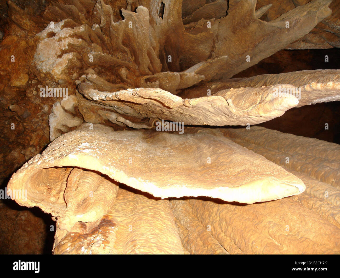 A photo capturing the intricate stalactite formations hanging from the ...