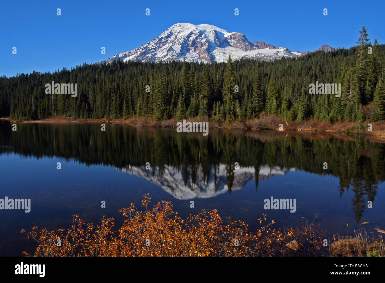 Mount Rainier, located in Washington State, is an iconic active volcano ...