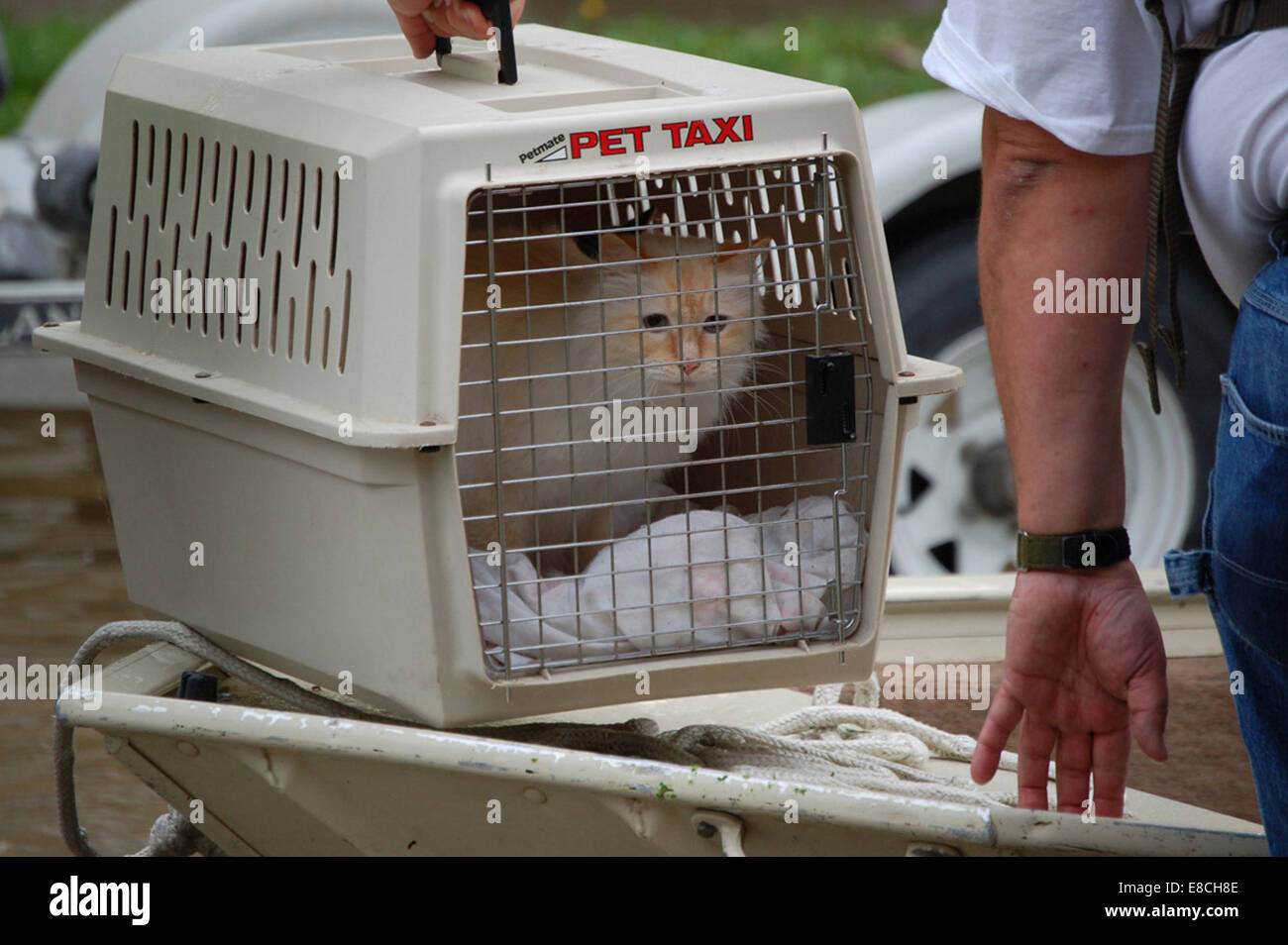 Rescued hi-res stock photography and images - Alamy