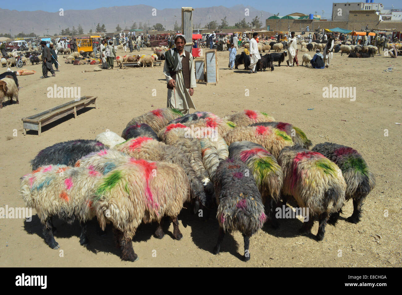 Quetta. 5th Oct, 2014. A trader waits for customers at a market on the ...