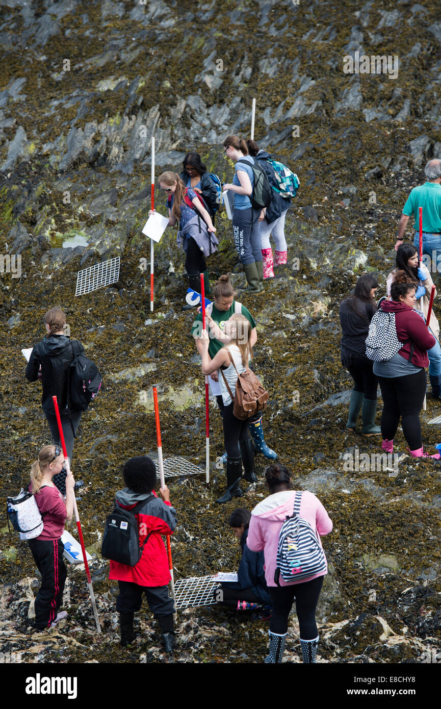 Sampling Techniques High Resolution Stock Photography and Images - Alamy