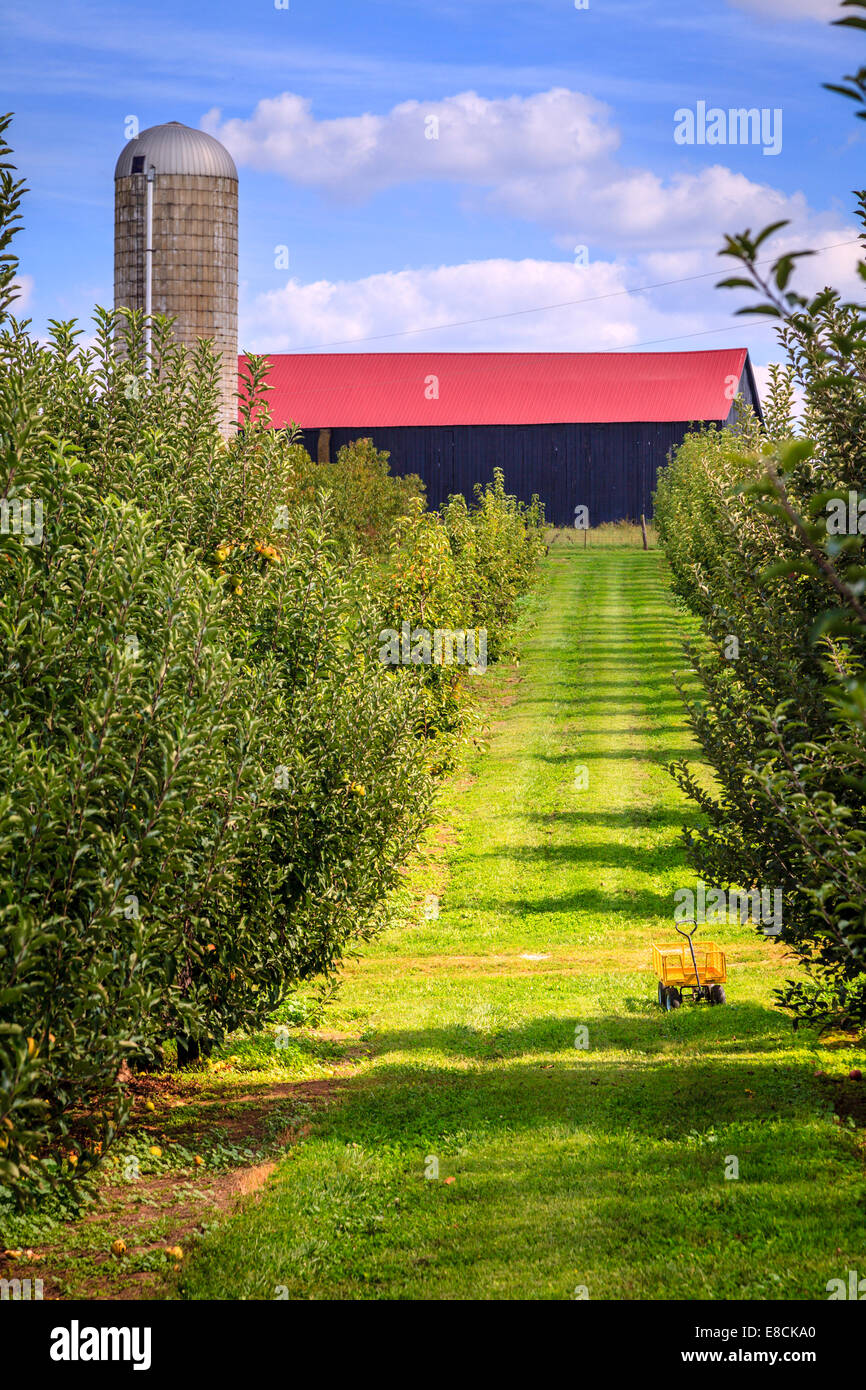 Orchard barn hi-res stock photography and images - Alamy