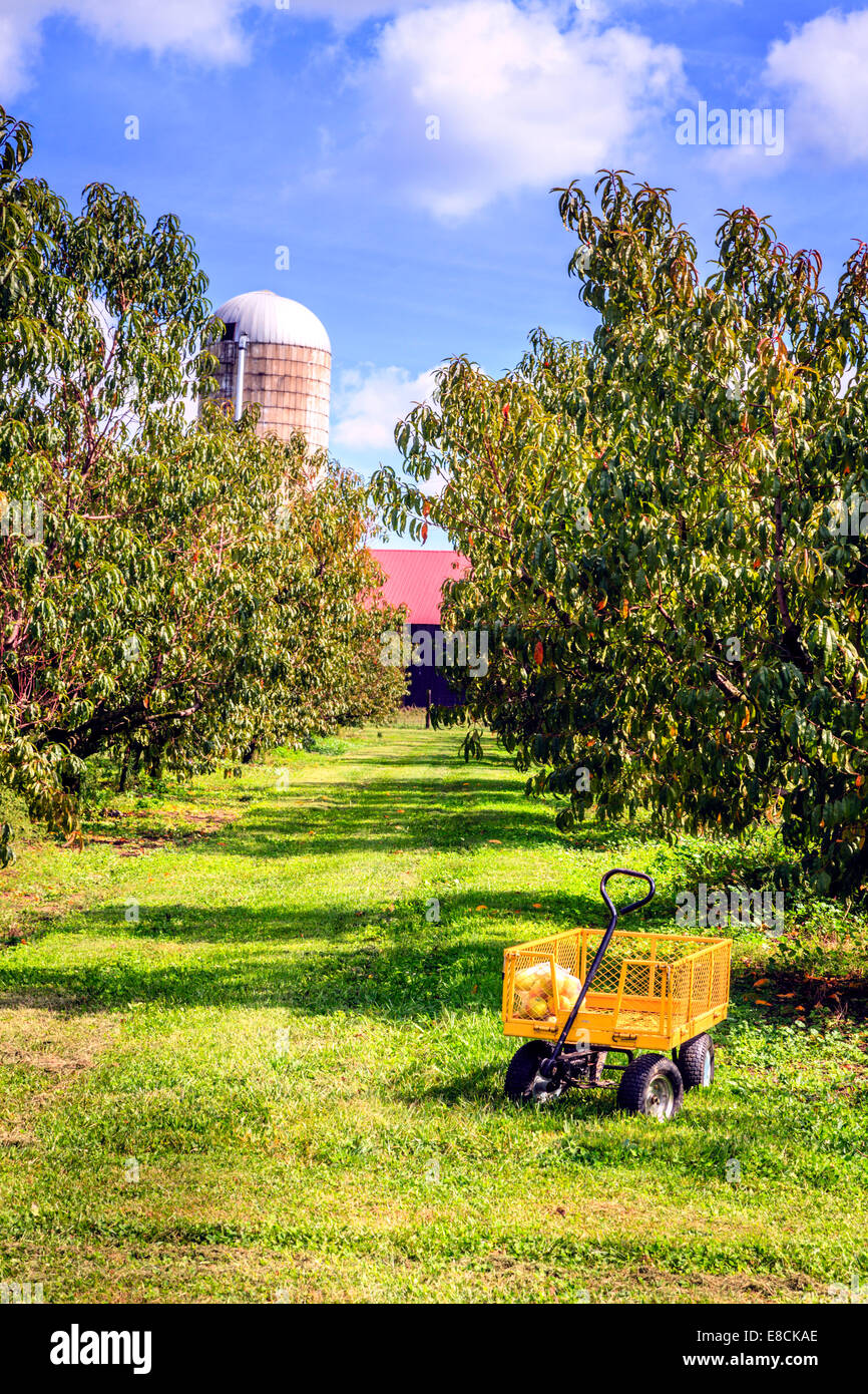 Orchard barn hi-res stock photography and images - Alamy