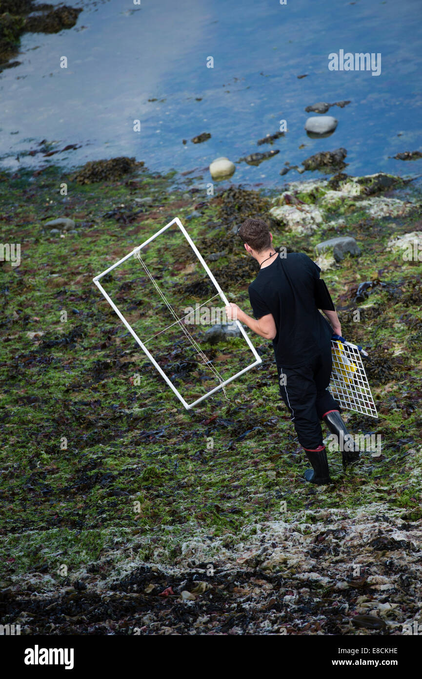 A level grammar school student carrying a QUADRAT sample measuring grid ...