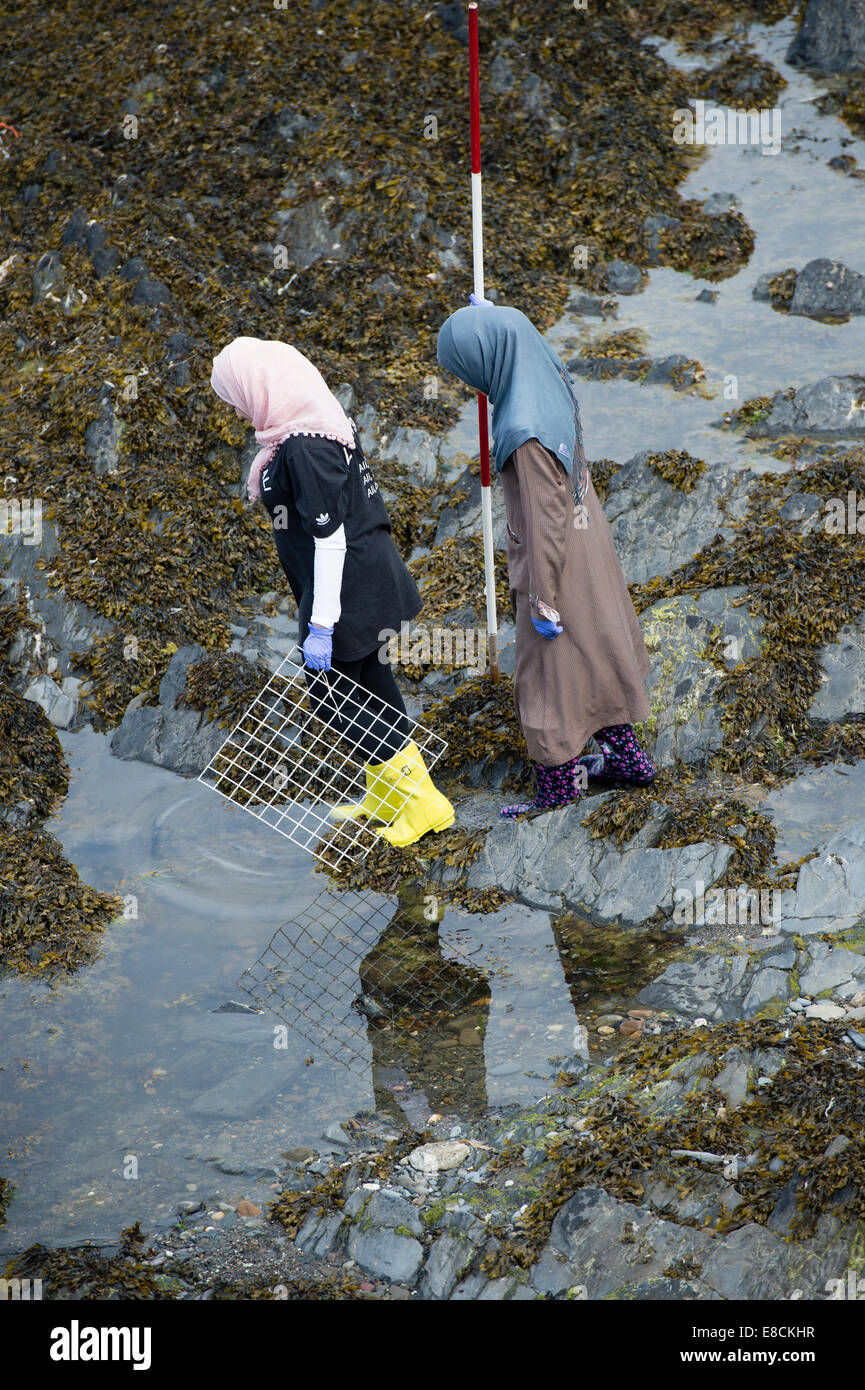 Two muslim girl A level grammar school students studying biology ...
