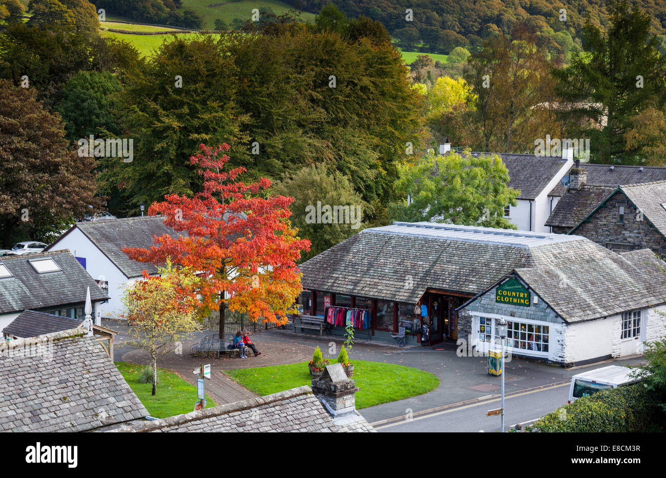 Autumnal tree in Hawkshead, Lake District National Park, Cumbria Stock ...