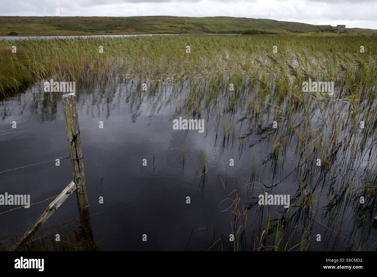 Finlaggan, Islay, the home of the Lord of the Isles Stock Photo - Alamy