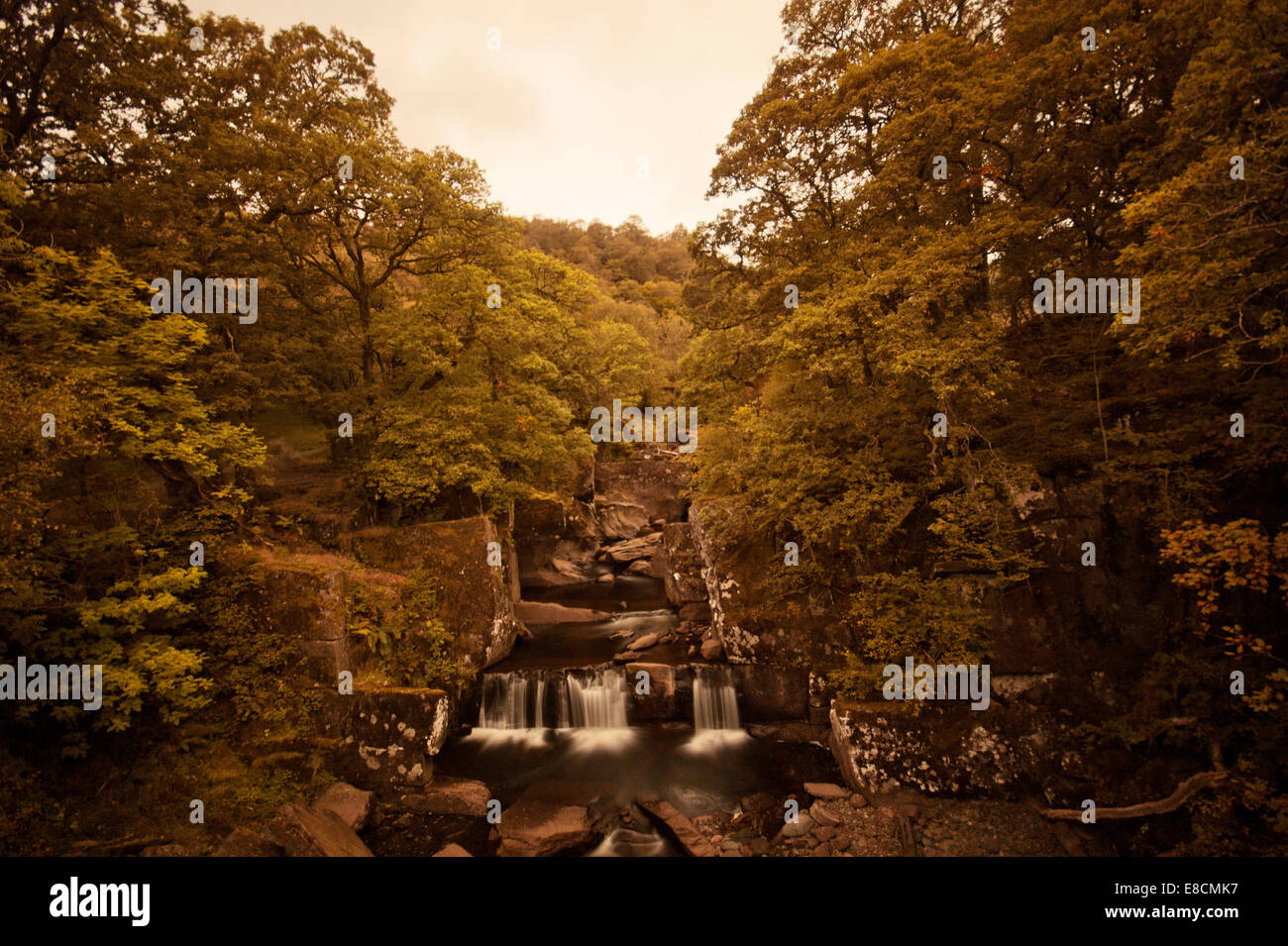 Bracklinn Falls in Callander Scotland Stock Photo - Alamy