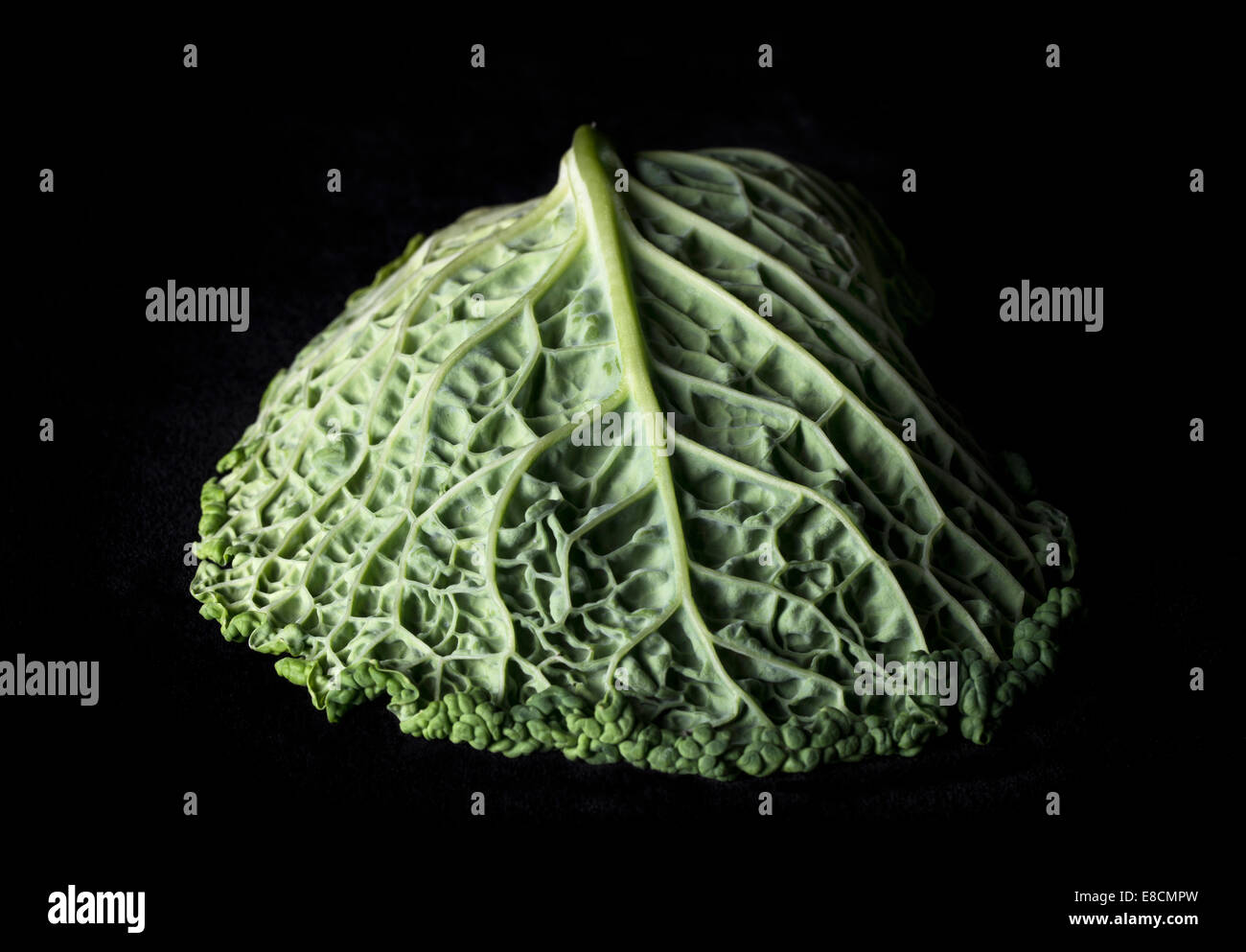 Black leaf cabbage hi-res stock photography and images - Alamy
