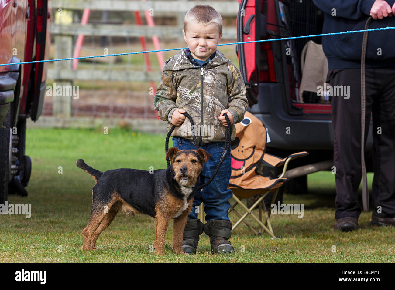Young lurcher hi-res stock photography and images - Alamy