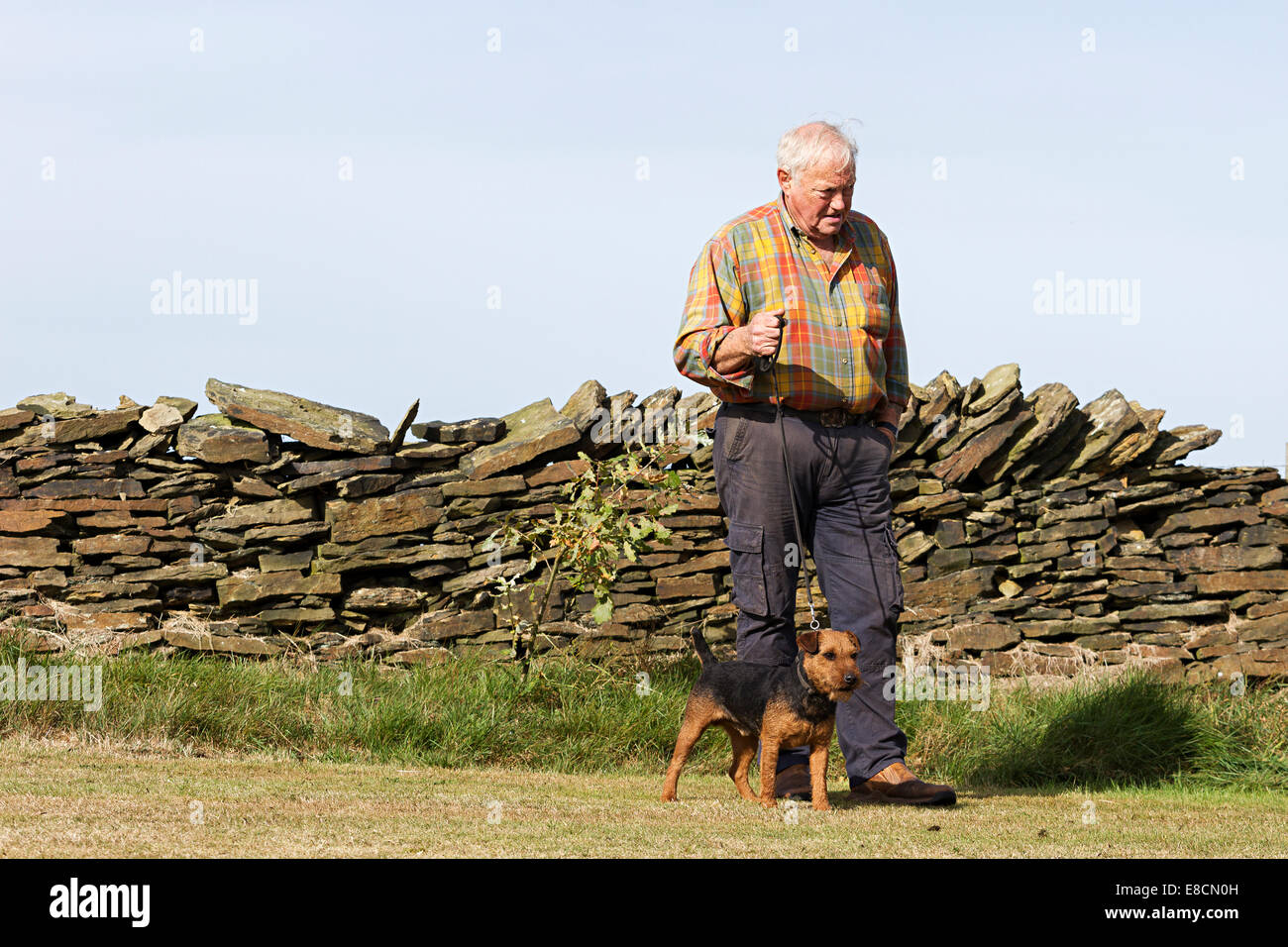 Terrier class hi-res stock photography and images - Alamy