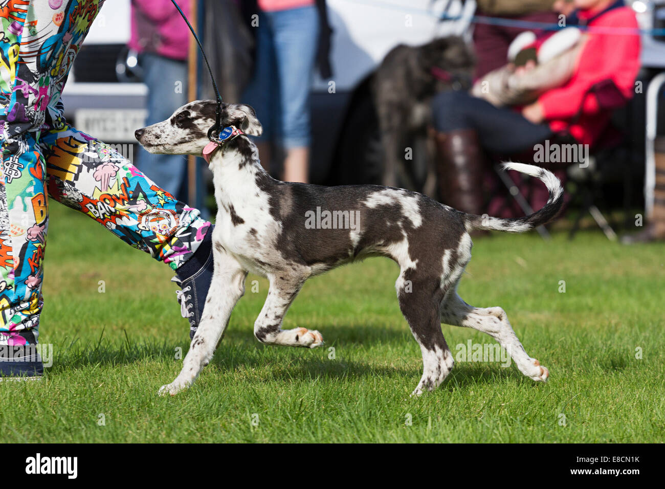 Fillingham hi-res stock photography and images - Alamy