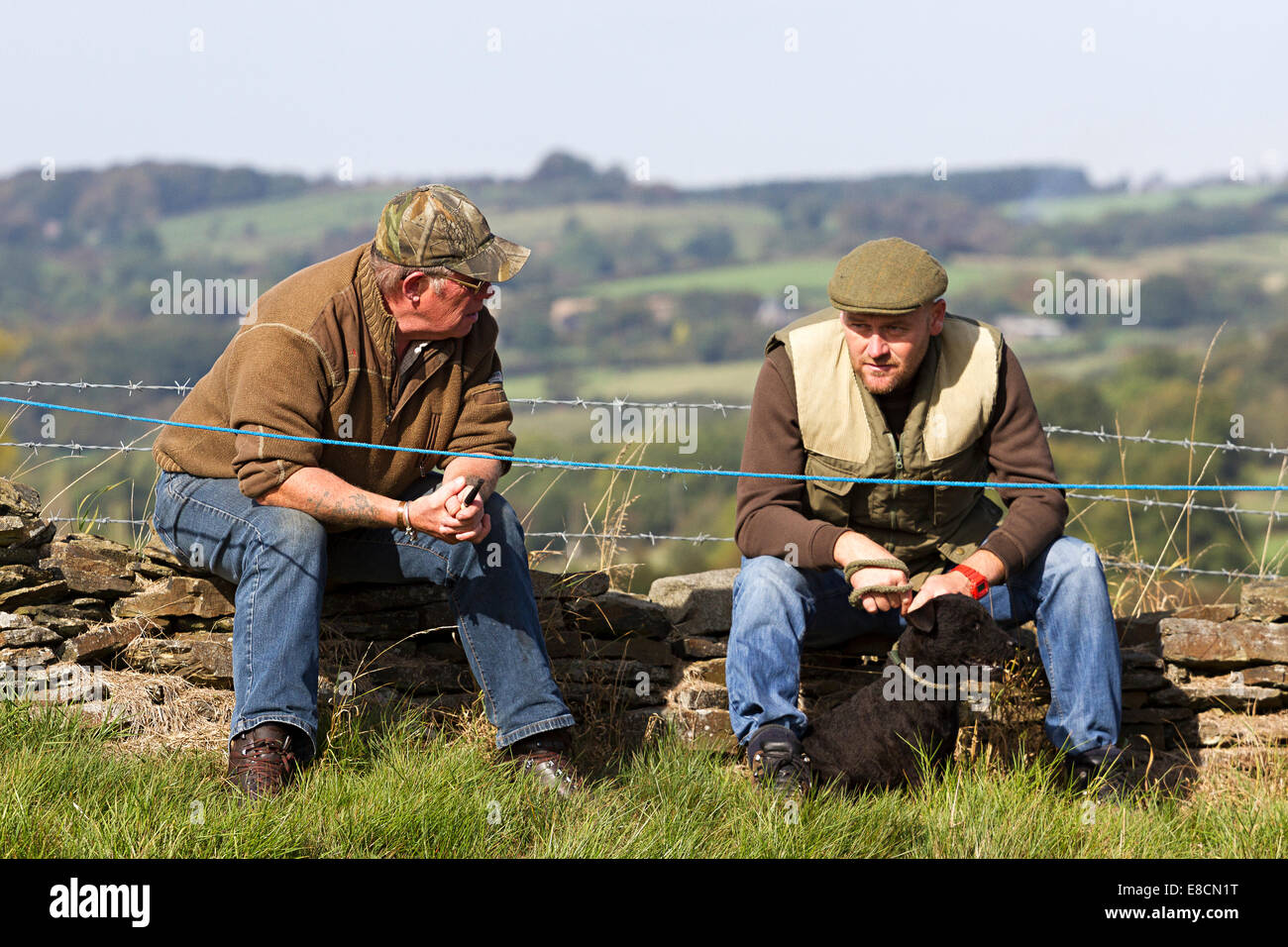 Working terriers hi-res stock photography and images - Alamy