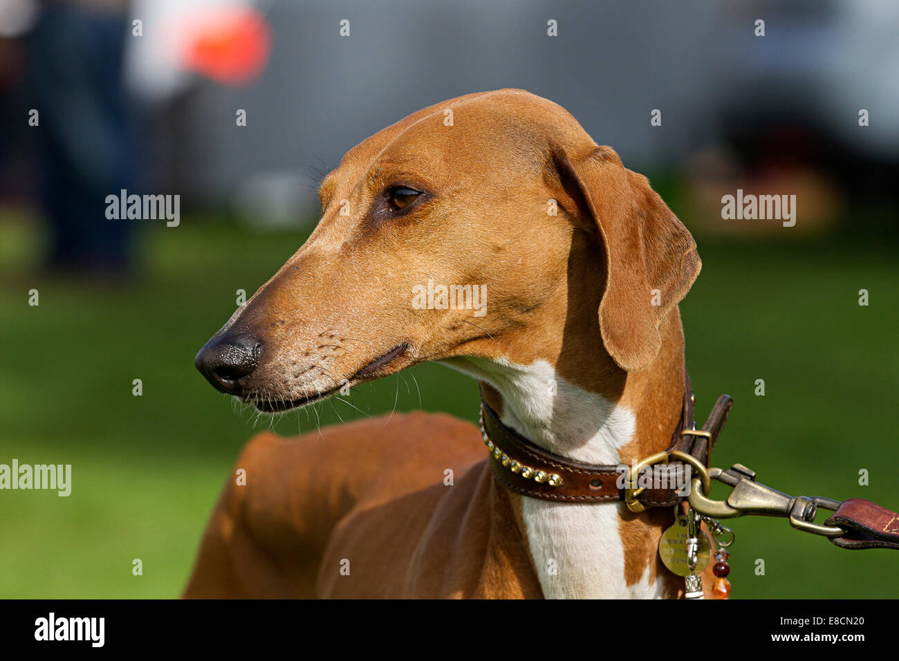 South wingfield derbyshire hi-res stock photography and images - Alamy