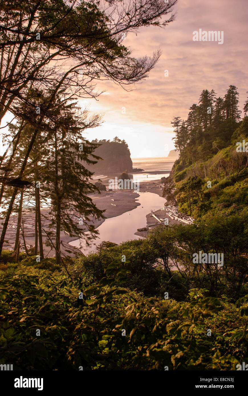 Ruby Beach Portrait Stock Photo - Alamy