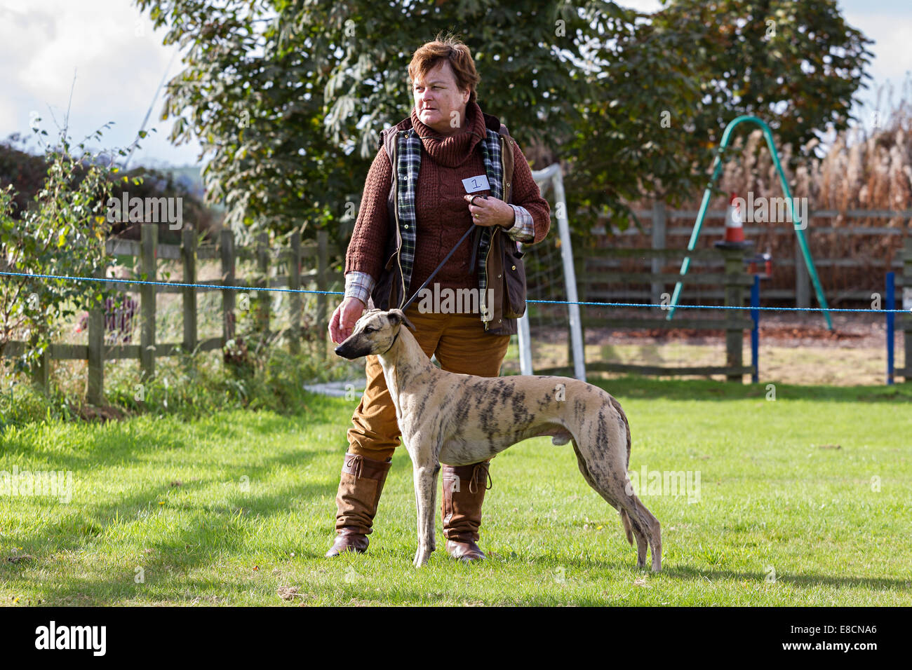 Working terriers hi-res stock photography and images - Alamy